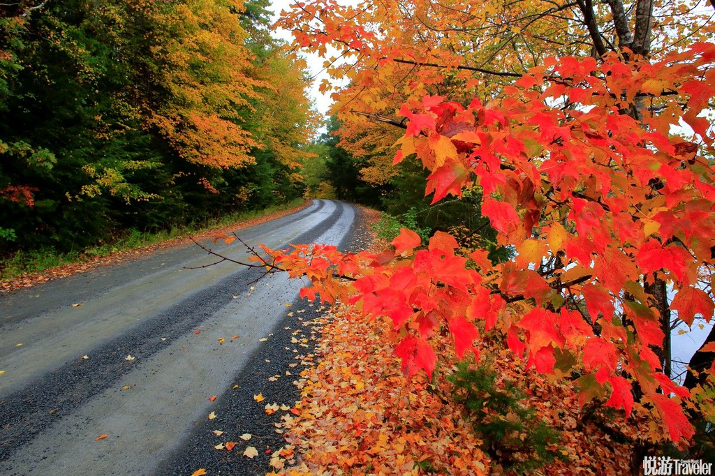聆听秋日私语：邂逅各国美丽“枫情” _灵感频道_悦游全球旅行网