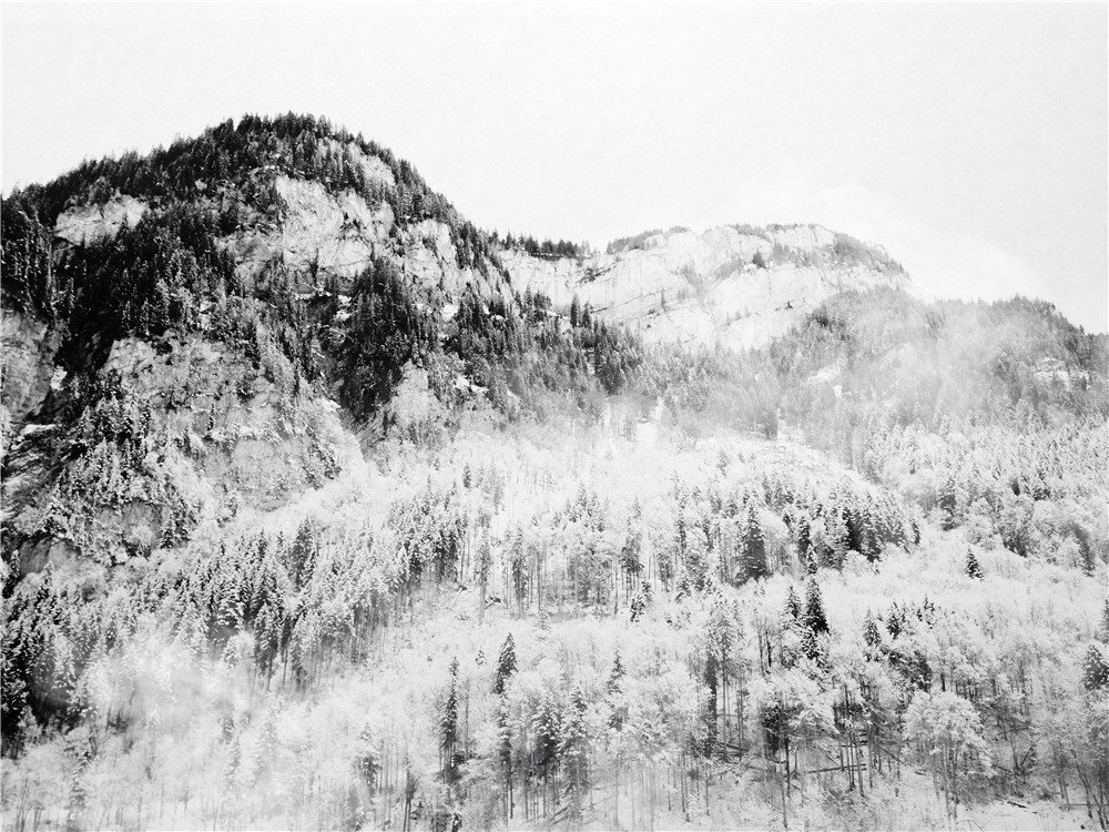 La Prairie莱珀妮携手艺术艺术家Douglas Mandry 展望瑞士 恒久之美